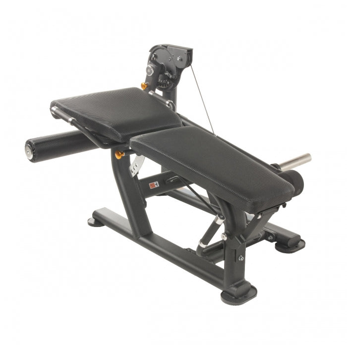 TF Standard PL, Leg Extension / Prone Leg Curl